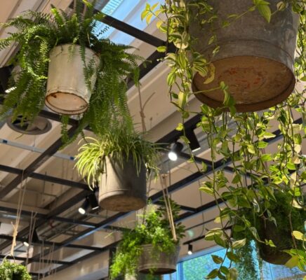 APERTURA ADRIANO - Seconda Strada